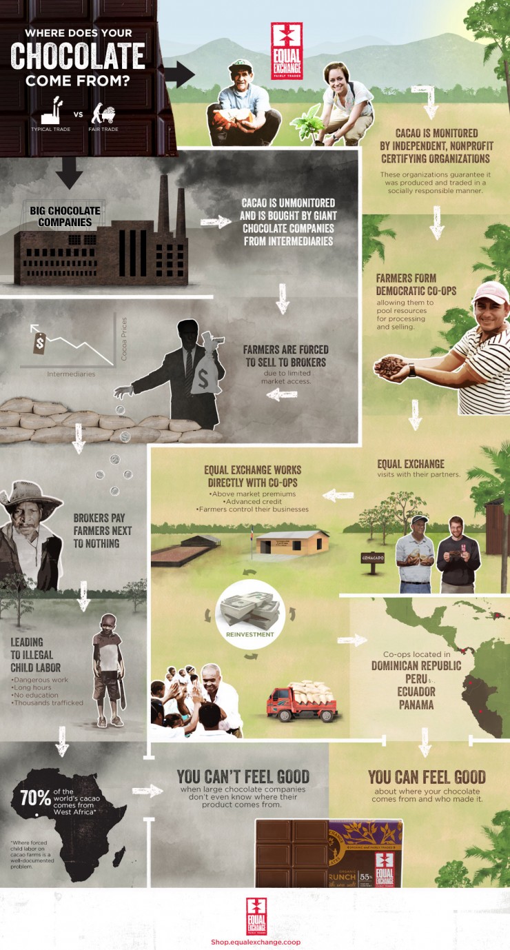 Chocolate Infographic